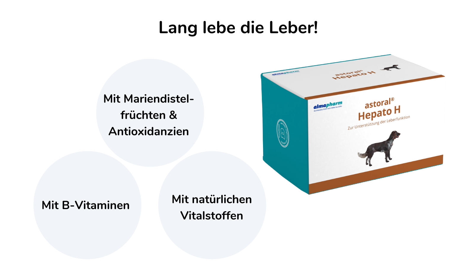 astoral Hepato H für Hunde (36 Tabl.) | felmo